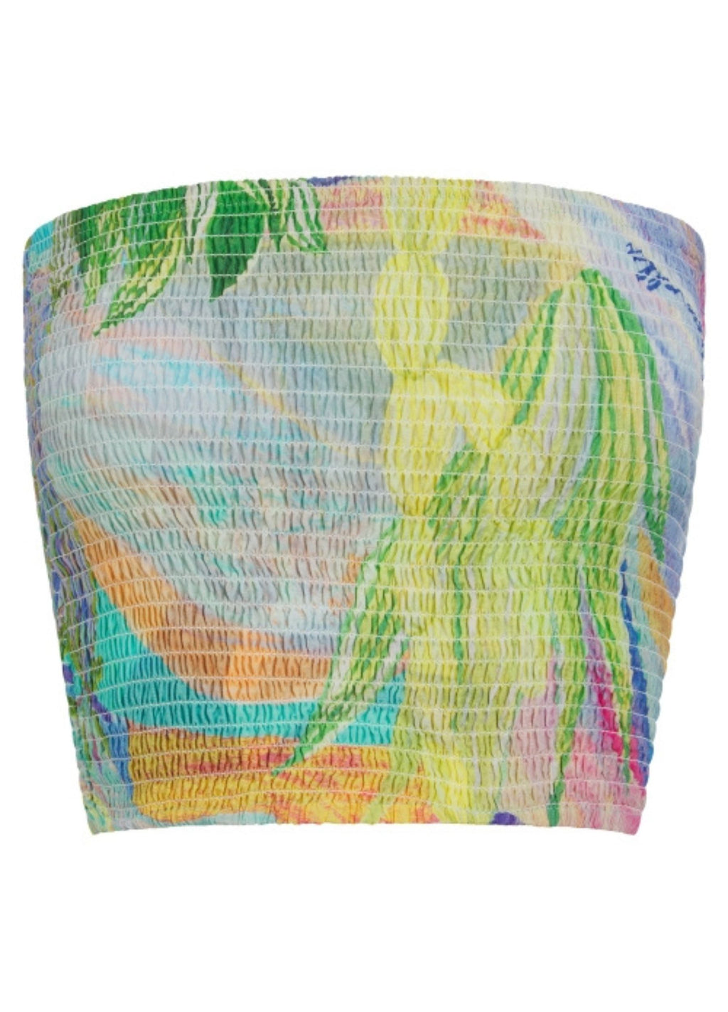 Pranella Yucca Print Cactus Print Smocking Boob Tube Multi ...